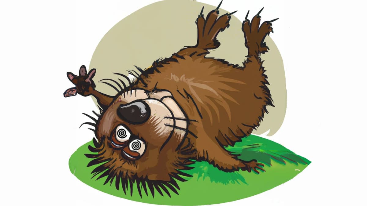 Krzywe Béziera — świstak.codes